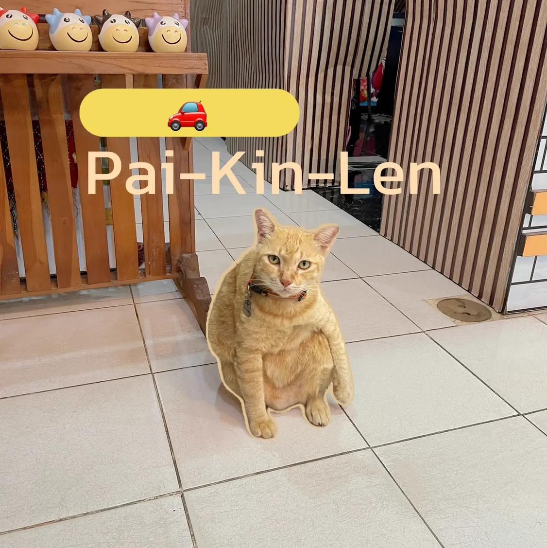 โพสต์ ของ Pai-Kin-Len|Lemon8