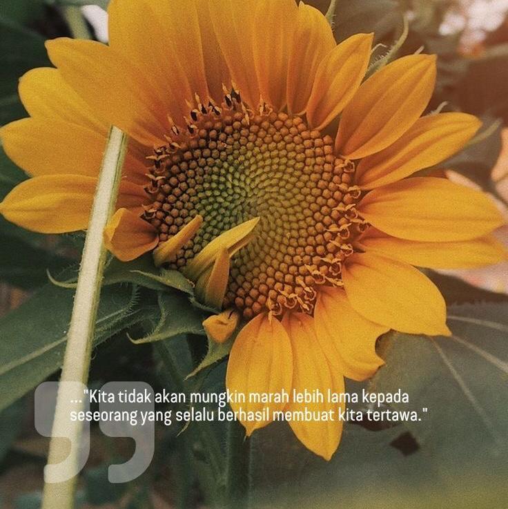 Siarkan Air ☀️|Lemon8