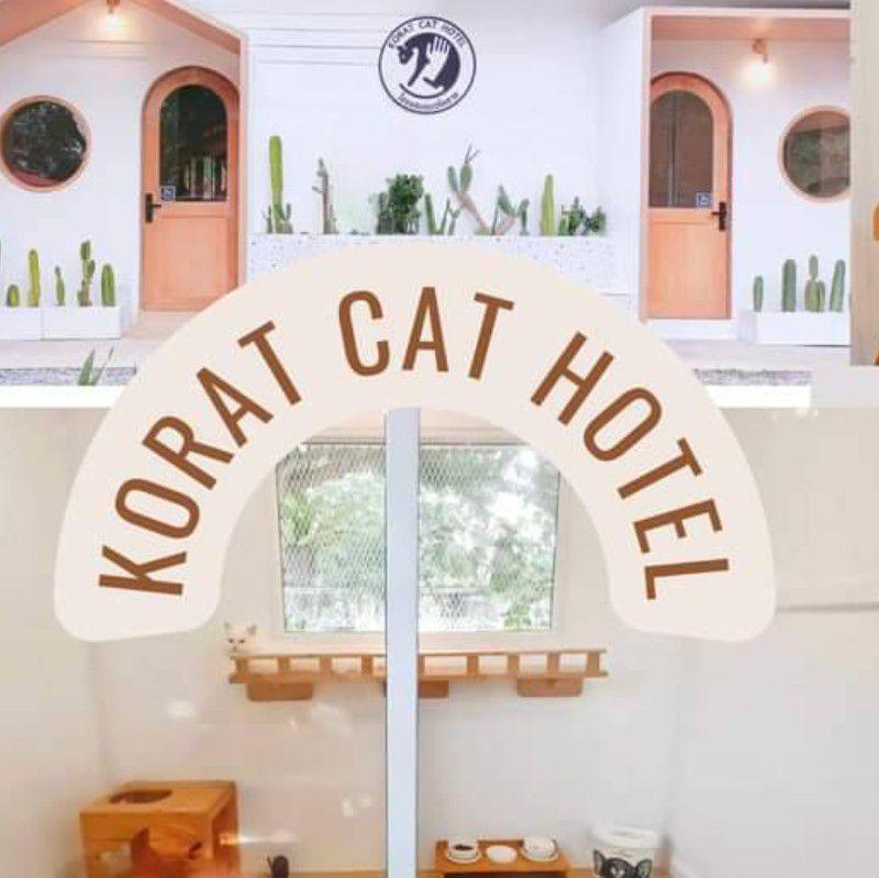 โพสต์ ของ 𝚔𝚘𝚛𝚊𝚝𝚌𝚊𝚝𝚑𝚘𝚝𝚎𝚕 |Lemon8