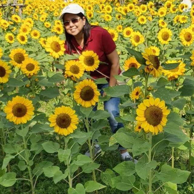 โพสต์ ของ sujaree|Lemon8