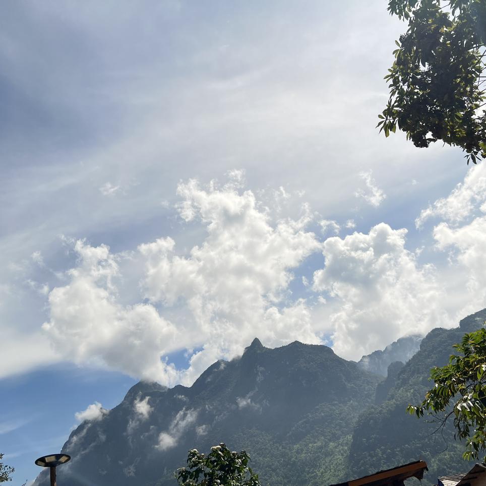 โพสต์ ของ Paipala|Lemon8