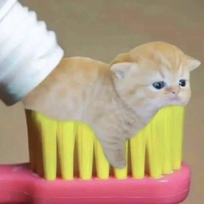 โพสต์ ของ Lilith|Lemon8