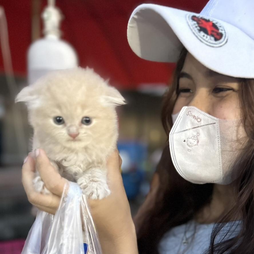 โพสต์ ของ 04'ws|Lemon8