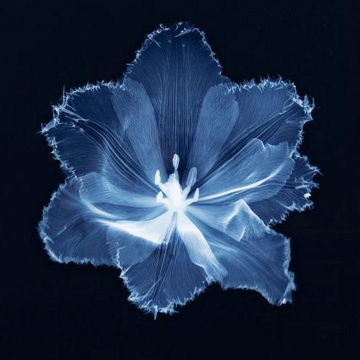 โพสต์ ของ RJ|Lemon8