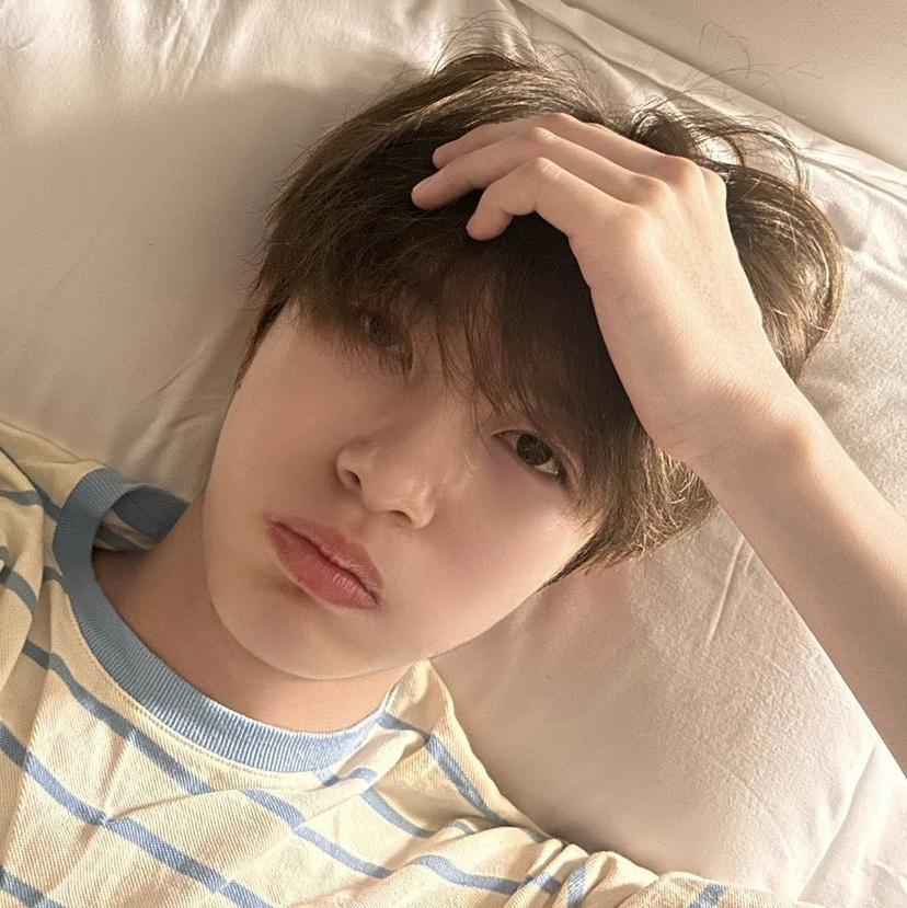 โพสต์ ของ 𝐌𝐚𝐢𝐟𝐚|Lemon8