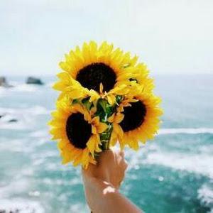 โพสต์ ของ Bombay|Lemon8