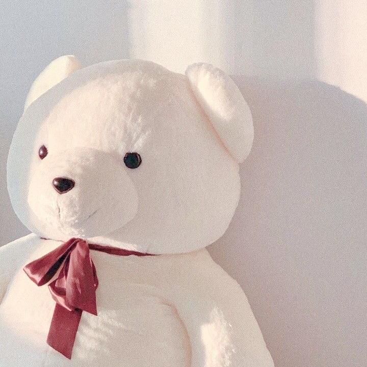 โพสต์ ของ Soweon|Lemon8