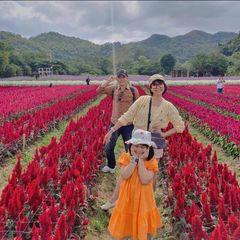 โพสต์ ของ Jomjai Phetkla|Lemon8