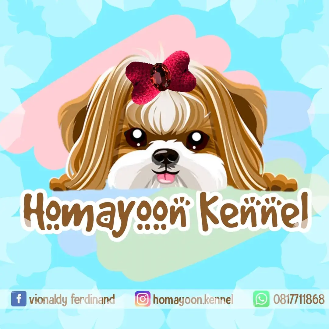 โพสต์ ของ Homayoon|Lemon8