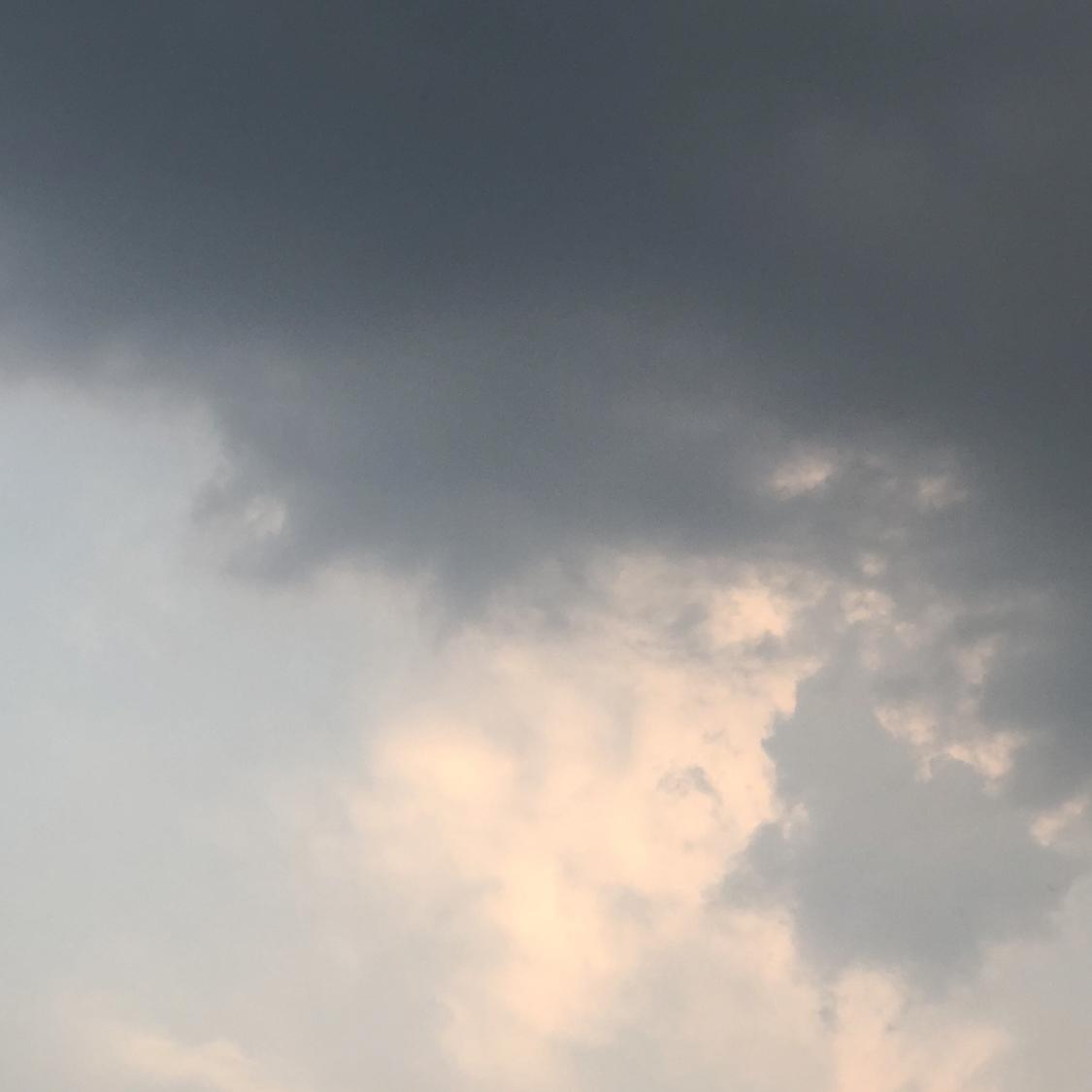 โพสต์ ของ cp|Lemon8