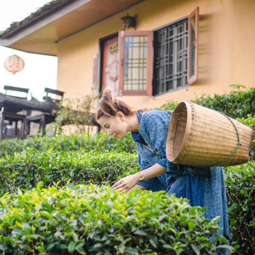 โพสต์ ของ Yoong-go|Lemon8