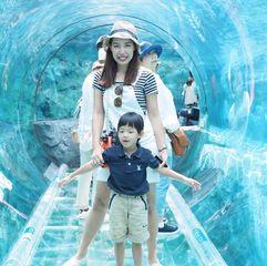 โพสต์ ของ Prompan Ko|Lemon8