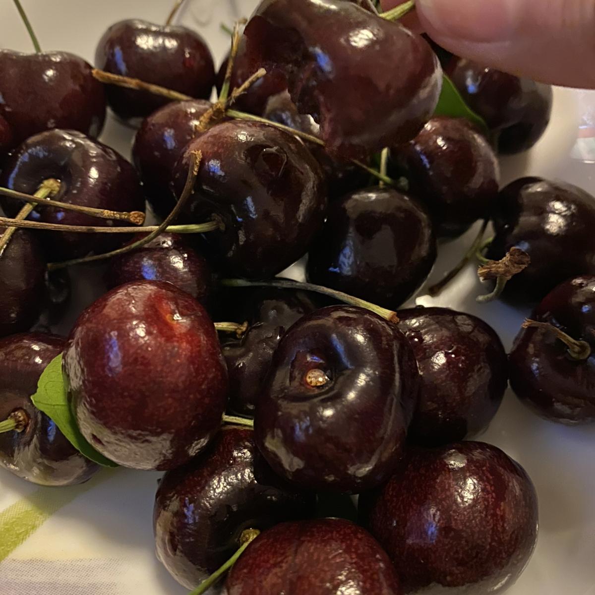 โพสต์ ของ Cherry|Lemon8