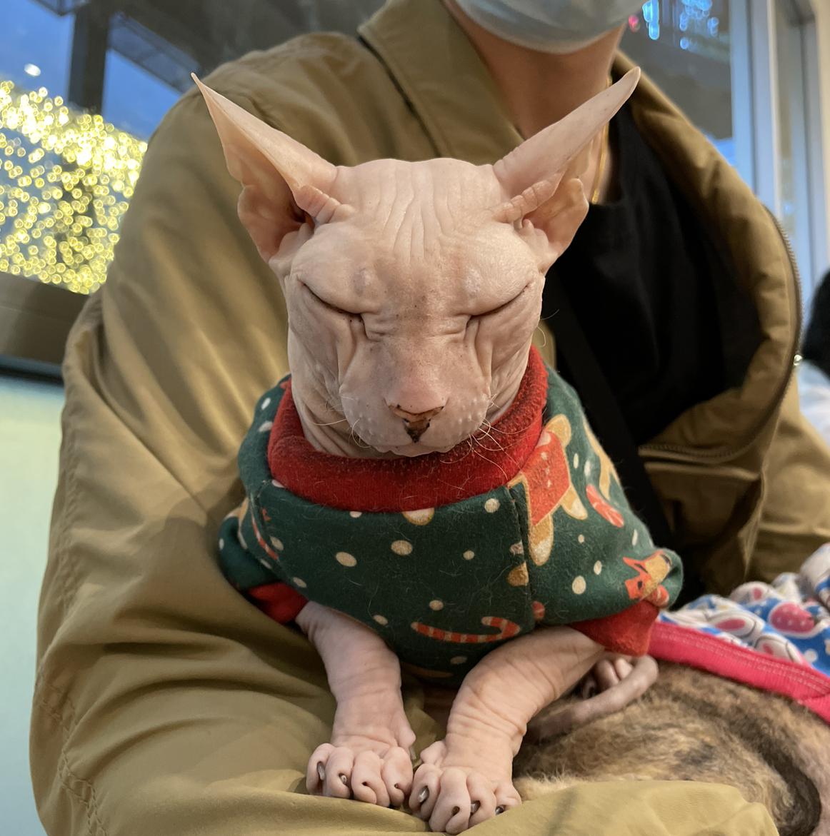 Yuan Ching's Post|Lemon8