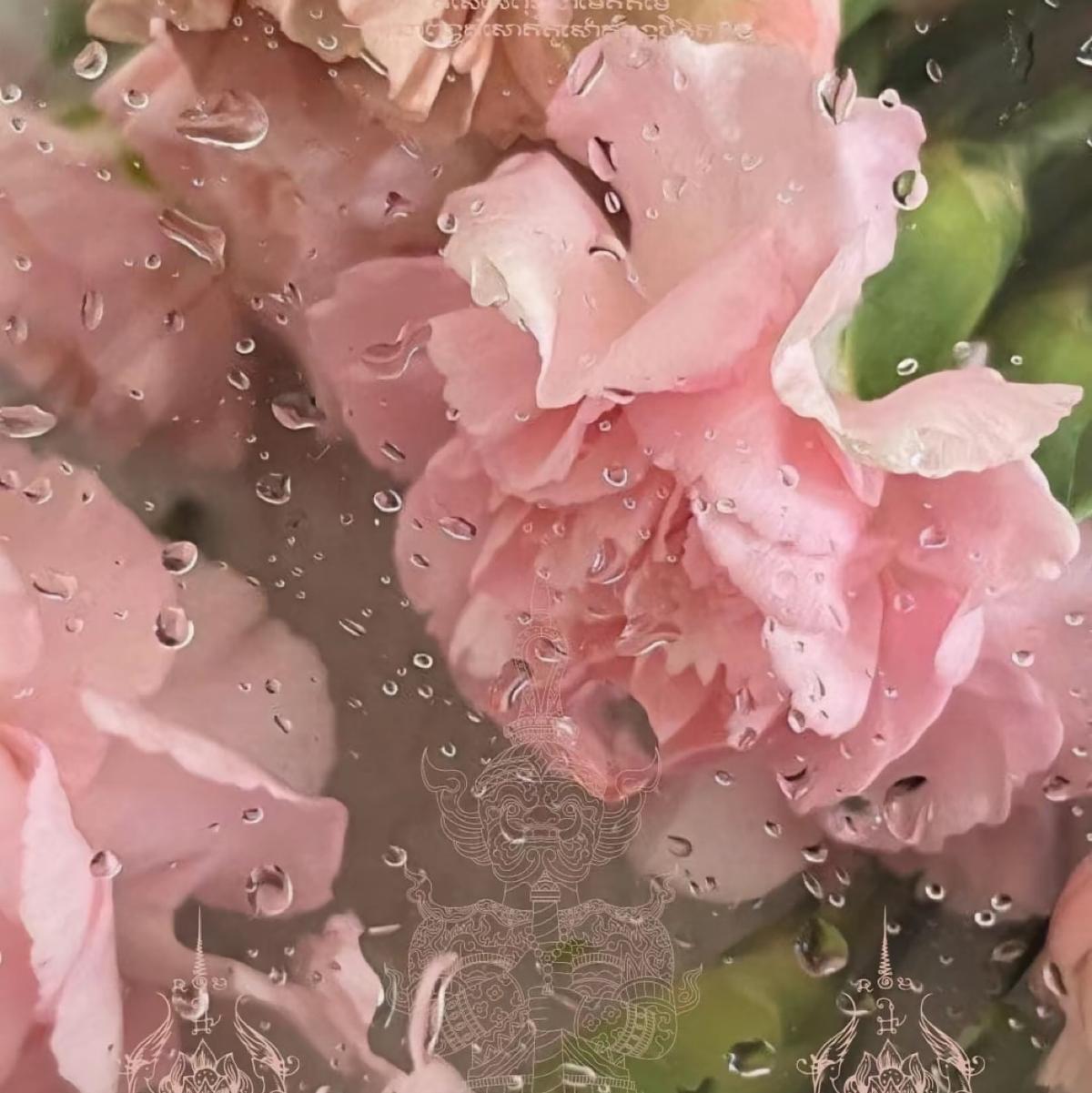 โพสต์ ของ Kenny B|Lemon8