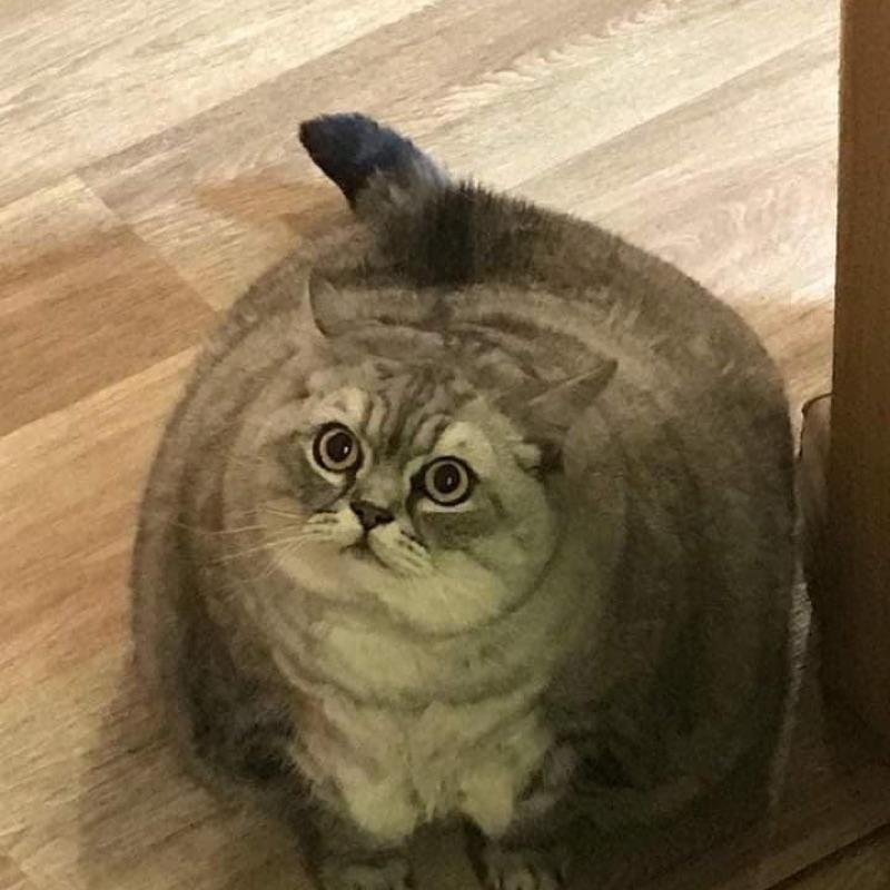 โพสต์ ของ noa|Lemon8