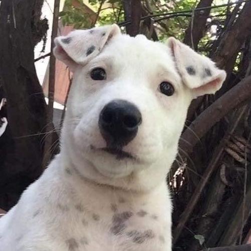 โพสต์ ของ -bai.toey|Lemon8