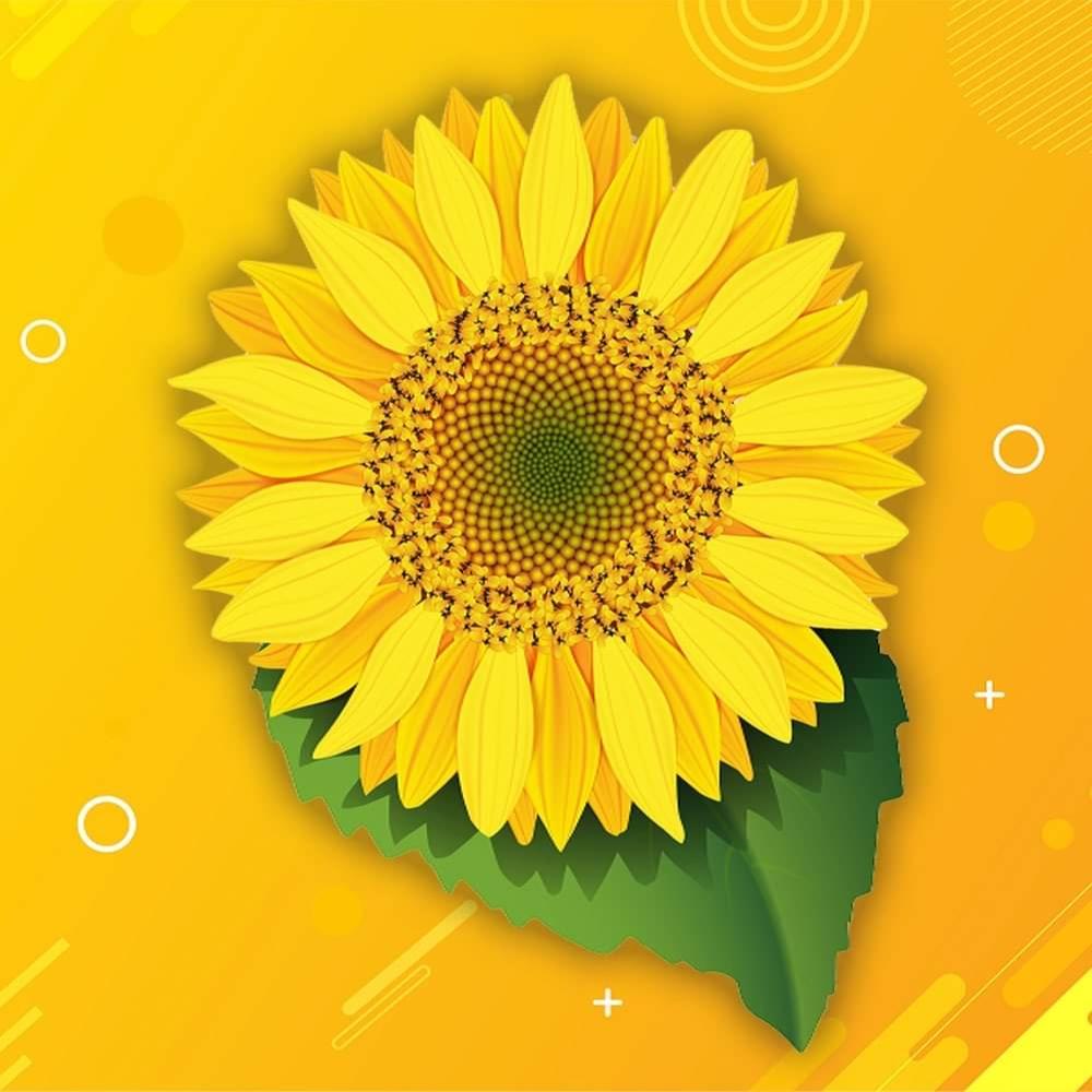 โพสต์ ของ Flower Food|Lemon8