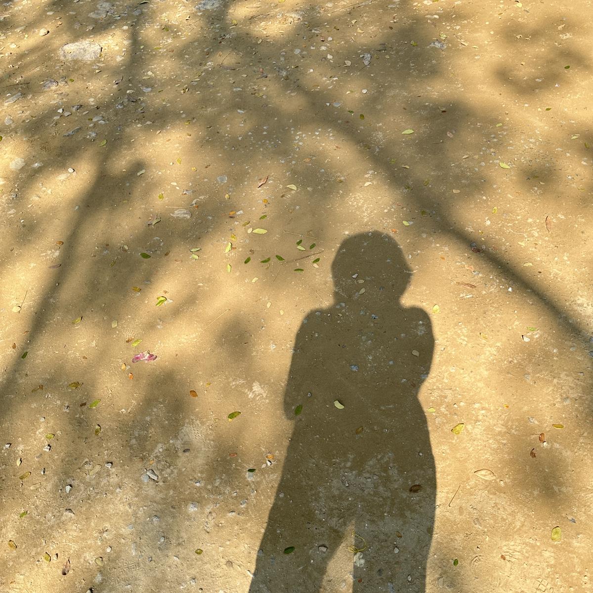 โพสต์ ของ Sanida Phosi|Lemon8