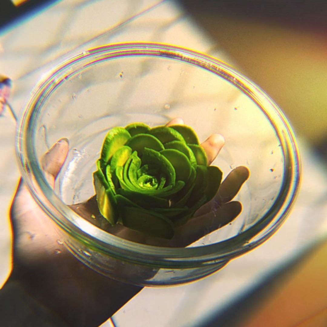 Đăng của Stella|Lemon8