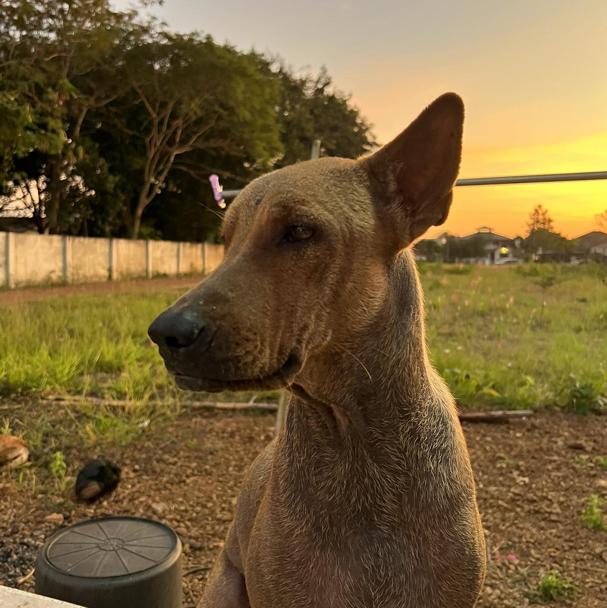 PingPing ️'s Post|Lemon8