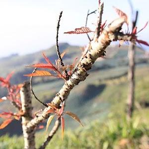 โพสต์ ของ Tatar Arun|Lemon8