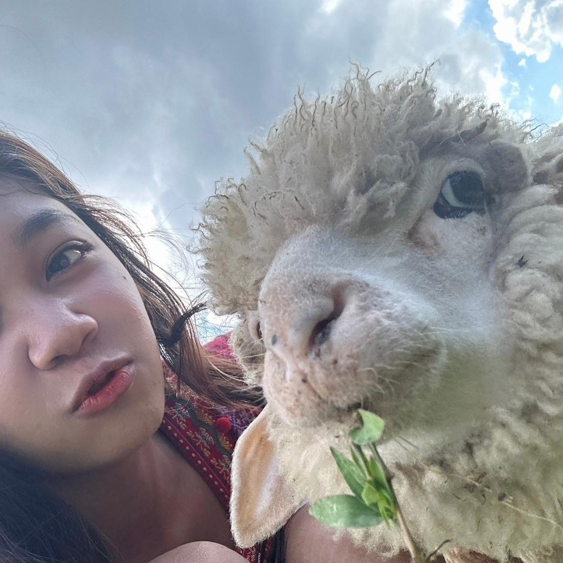 โพสต์ ของ 𝐶ℎ𝑜𝑟🪻|Lemon8