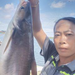 โพสต์ ของ Bundorn Don|Lemon8