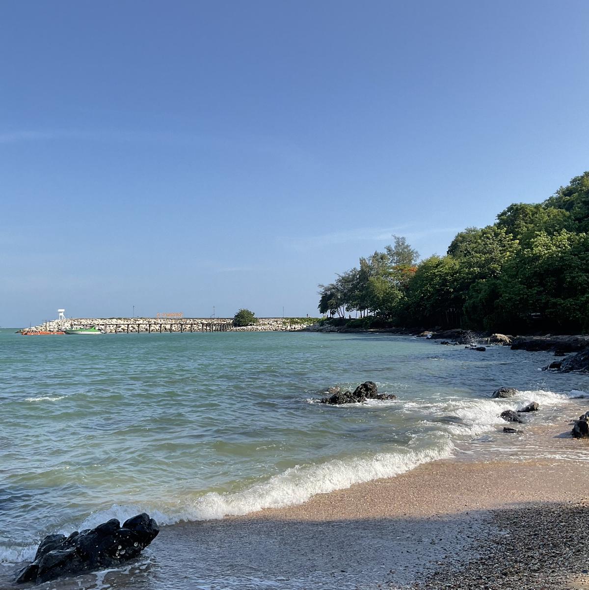 Patcha's Post|Lemon8