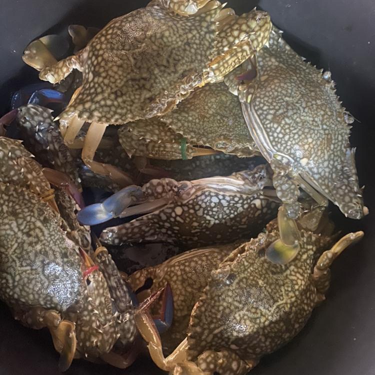 โพสต์ ของ PI NG|Lemon8