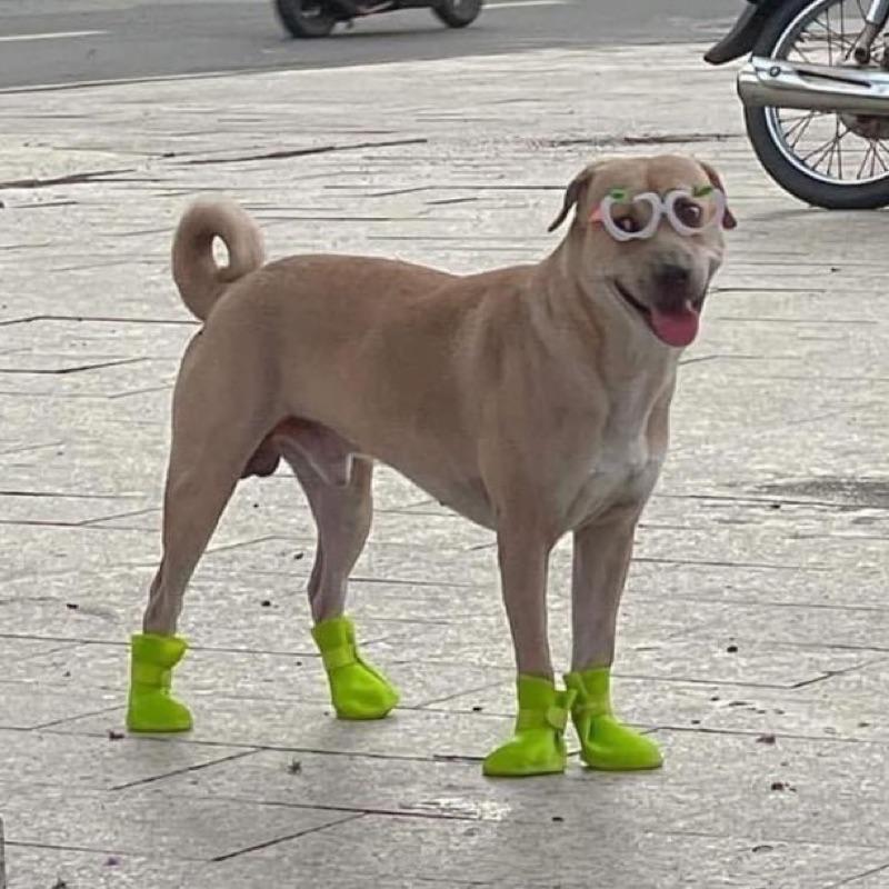 โพสต์ ของ Scene ⌯’ㅅ’⌯|Lemon8