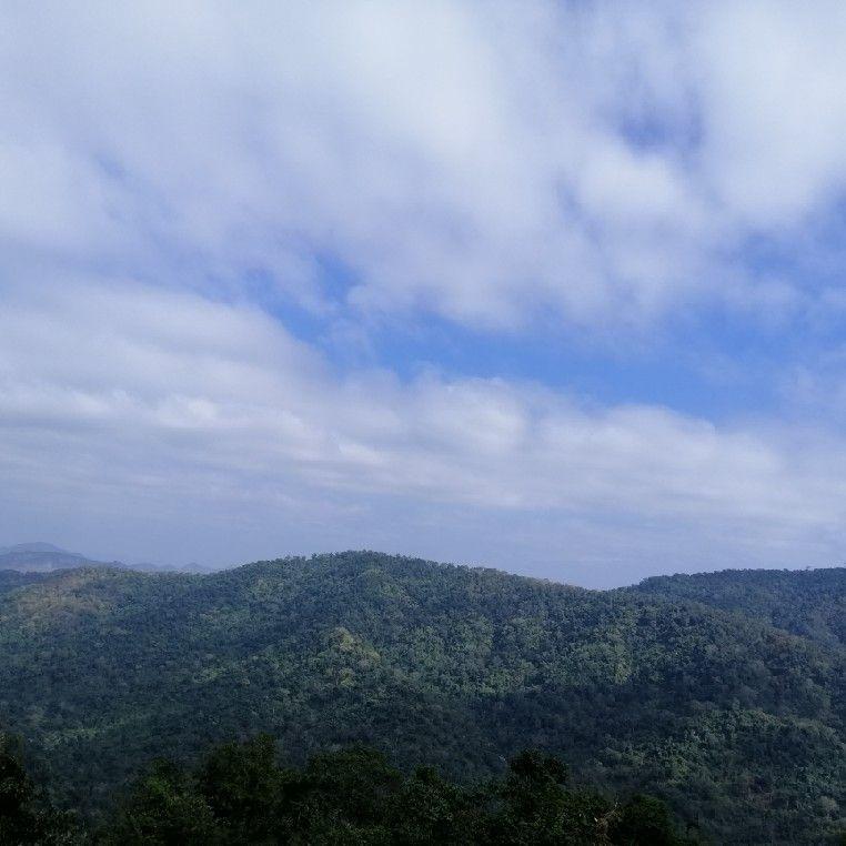 โพสต์ ของ toon|Lemon8