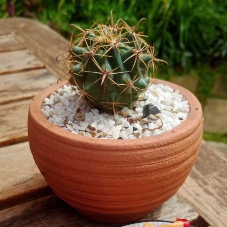 โพสต์ ของ Begin Again|Lemon8