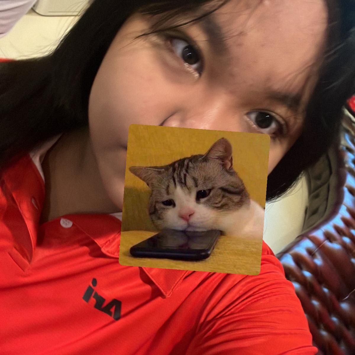 โพสต์ ของ Boo boo|Lemon8