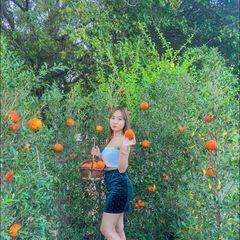 โพสต์ ของ Chom Chomp|Lemon8