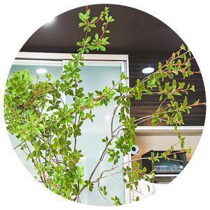 โพสต์ ของ ruri.ie|Lemon8