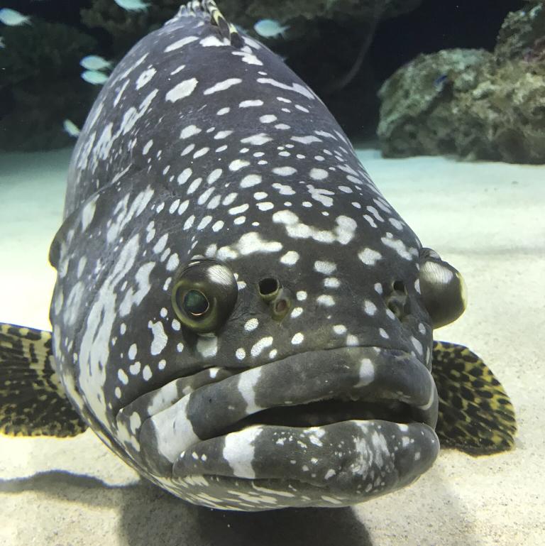 โพสต์ ของ yuuui|Lemon8