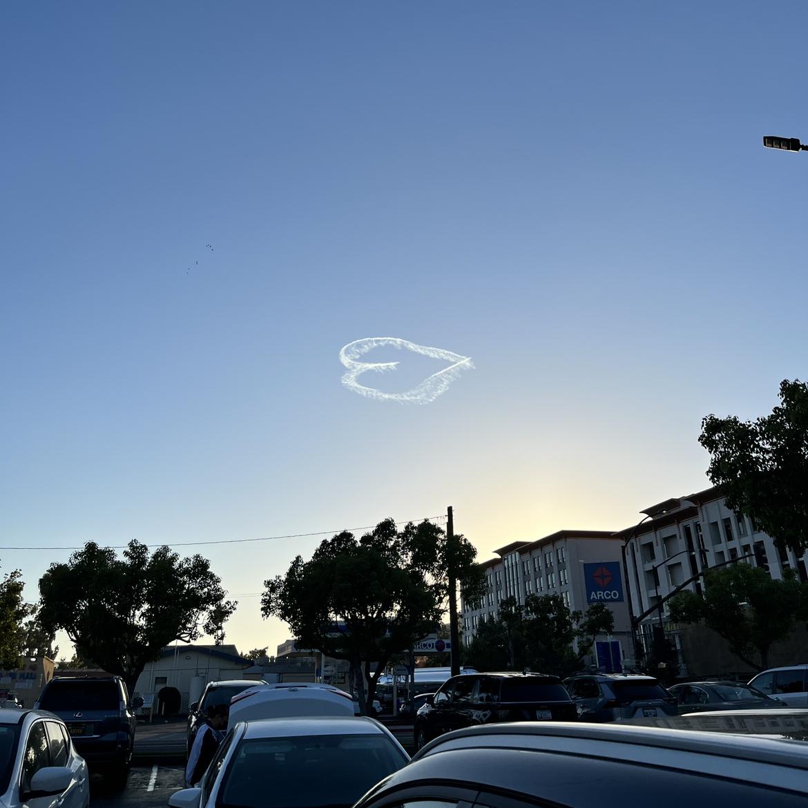 โพสต์ ของ Armigo|Lemon8