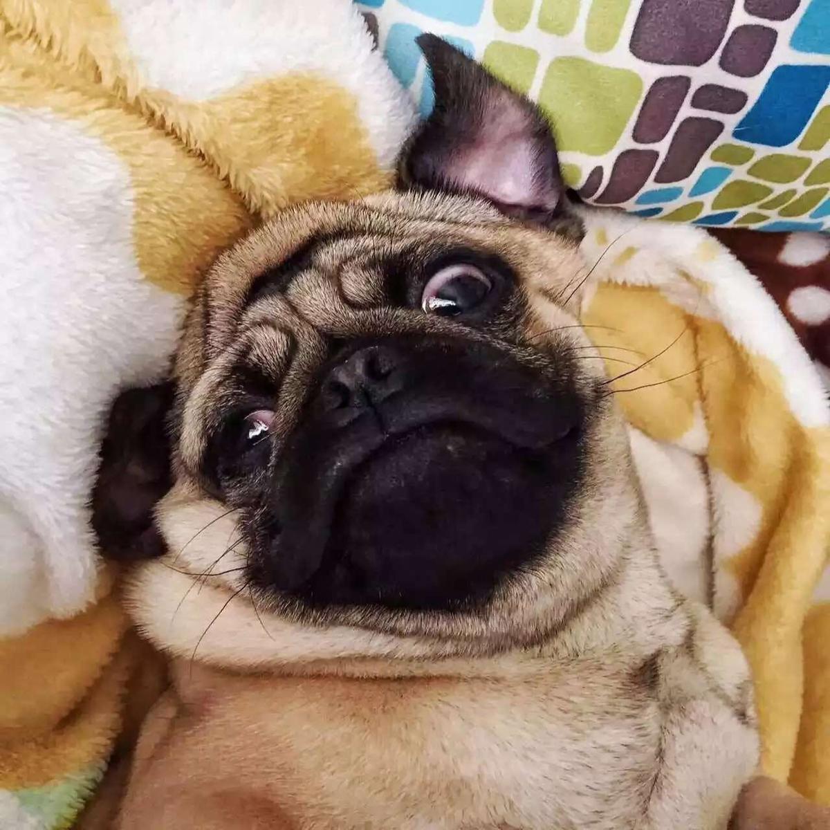 โพสต์ ของ Ace|Lemon8