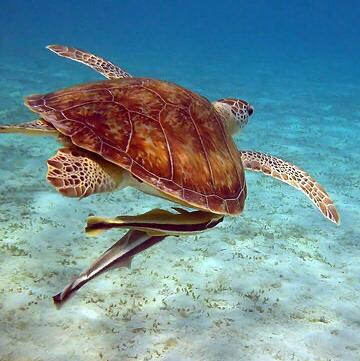 โพสต์ ของ Ryan Rasmussen |Lemon8