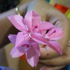 โพสต์ ของ Firda Maulida|Lemon8