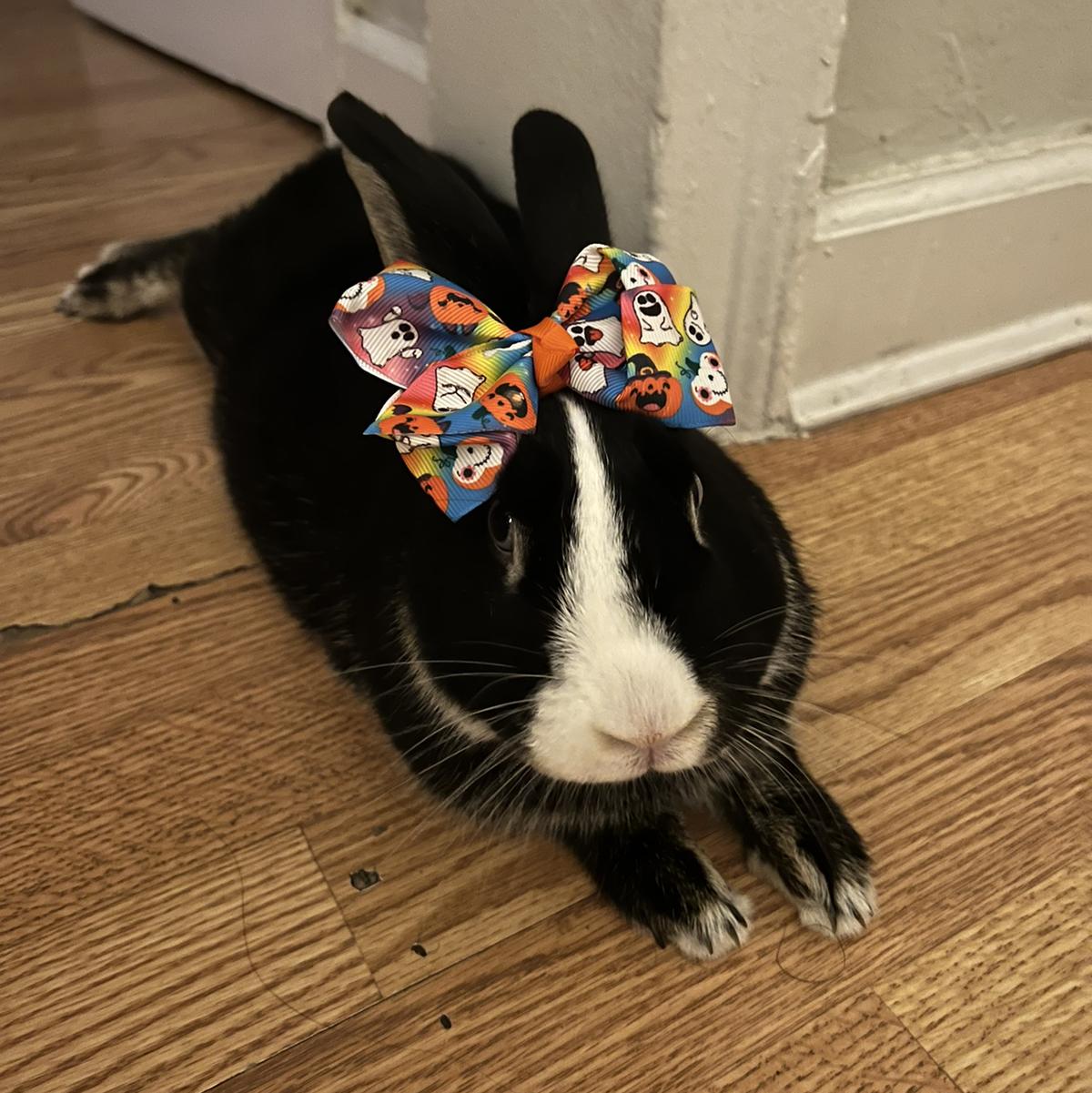 โพสต์ ของ Vane Cabrera|Lemon8