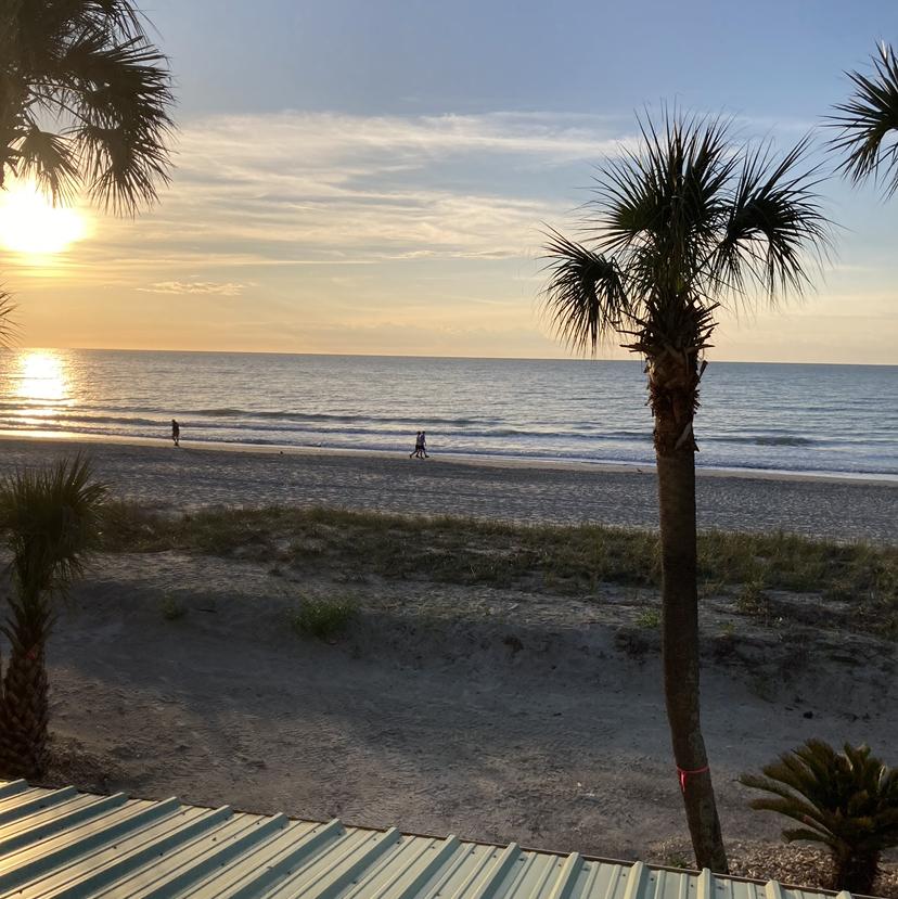 โพสต์ ของ Victoria Faulk|Lemon8