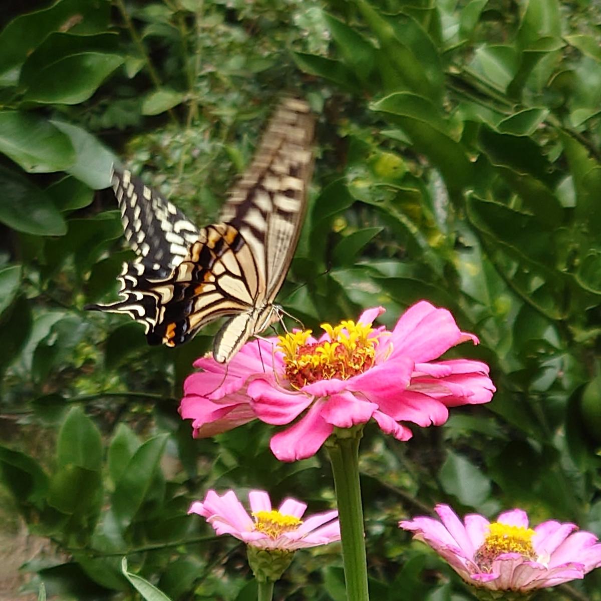 โพสต์ ของ Ri-e|Lemon8