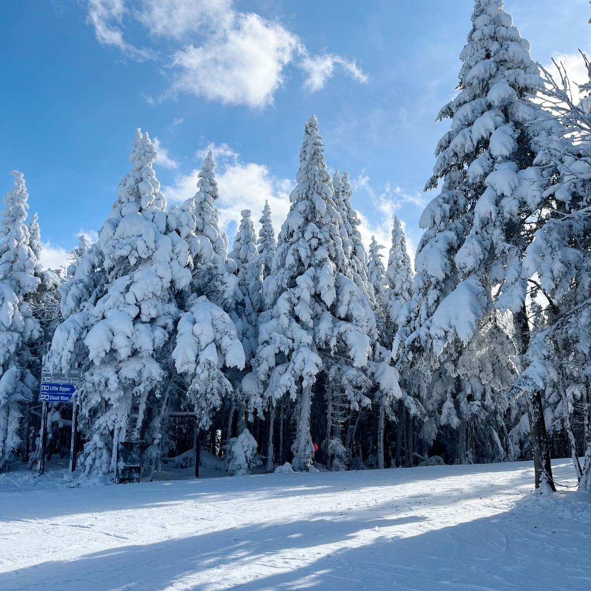 โพสต์ ของ MARlNA|Lemon8