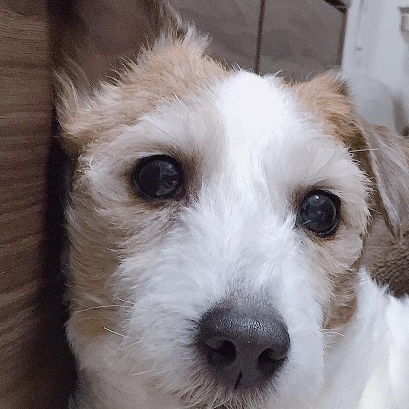 โพสต์ ของ COCO|Lemon8