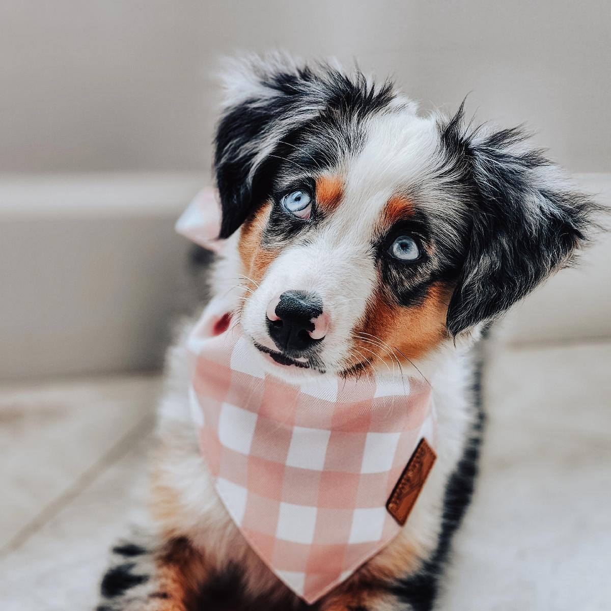 โพสต์ ของ Jasper|Lemon8