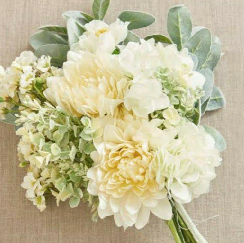 โพสต์ ของ YU-KO|Lemon8