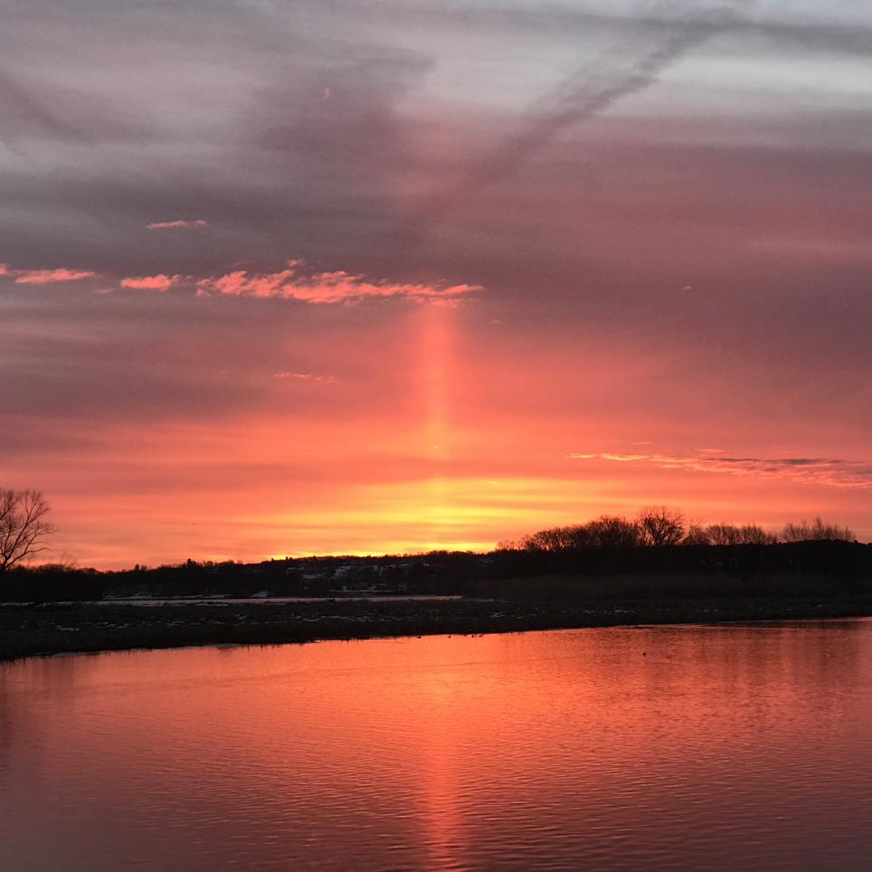 โพสต์ ของ nature_nd|Lemon8