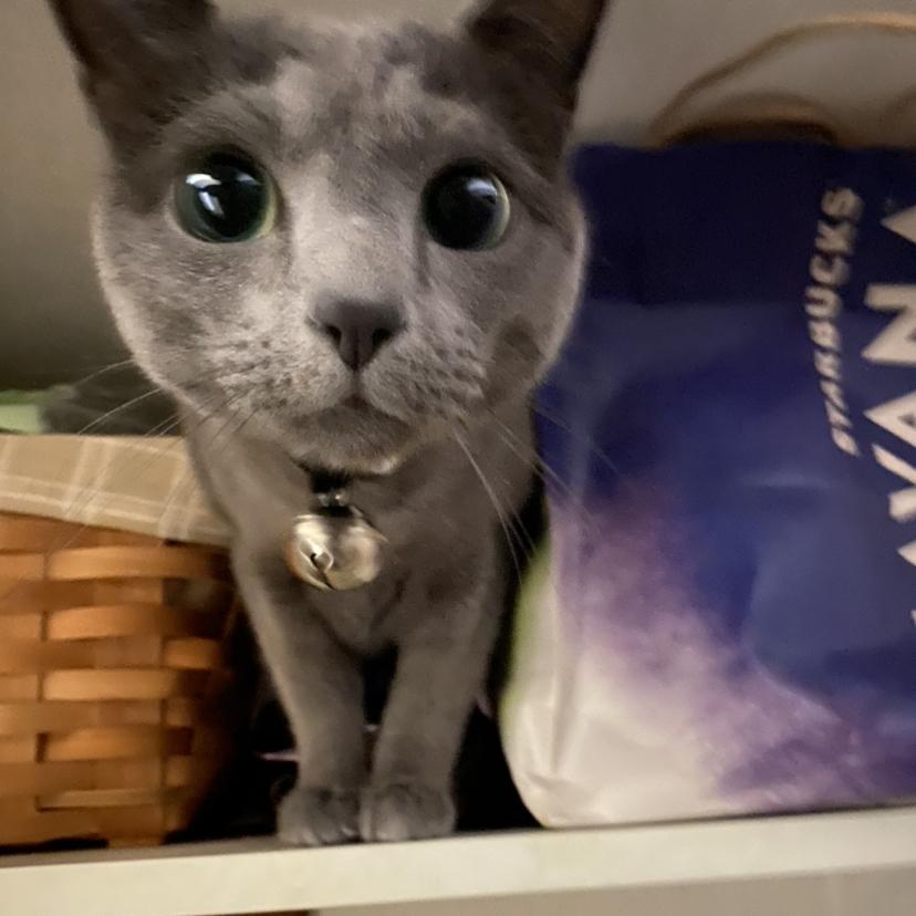 โพสต์ ของ Coconut🥥|Lemon8